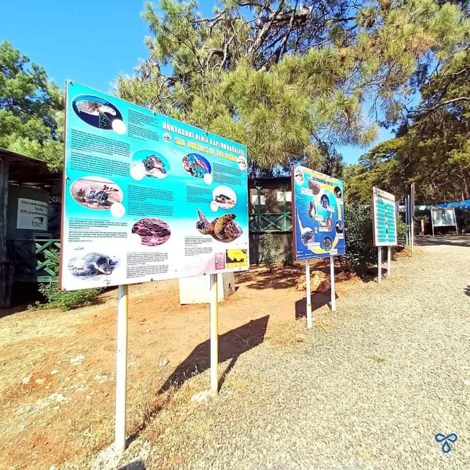 Dalyan, Turkey - Travel Guide - Things To Do & See