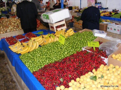 Erik (Greengage or The Turkish 'Unripe Plum') • Turkey's For Life