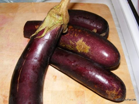 Turkish Musakka Recipe (Moussaka) • Turkey's For Life