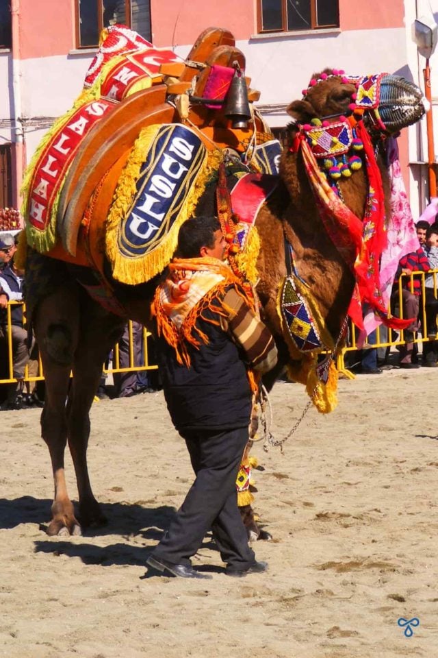 Top Events & Festivals in Turkey (2026) • Turkey's For Life