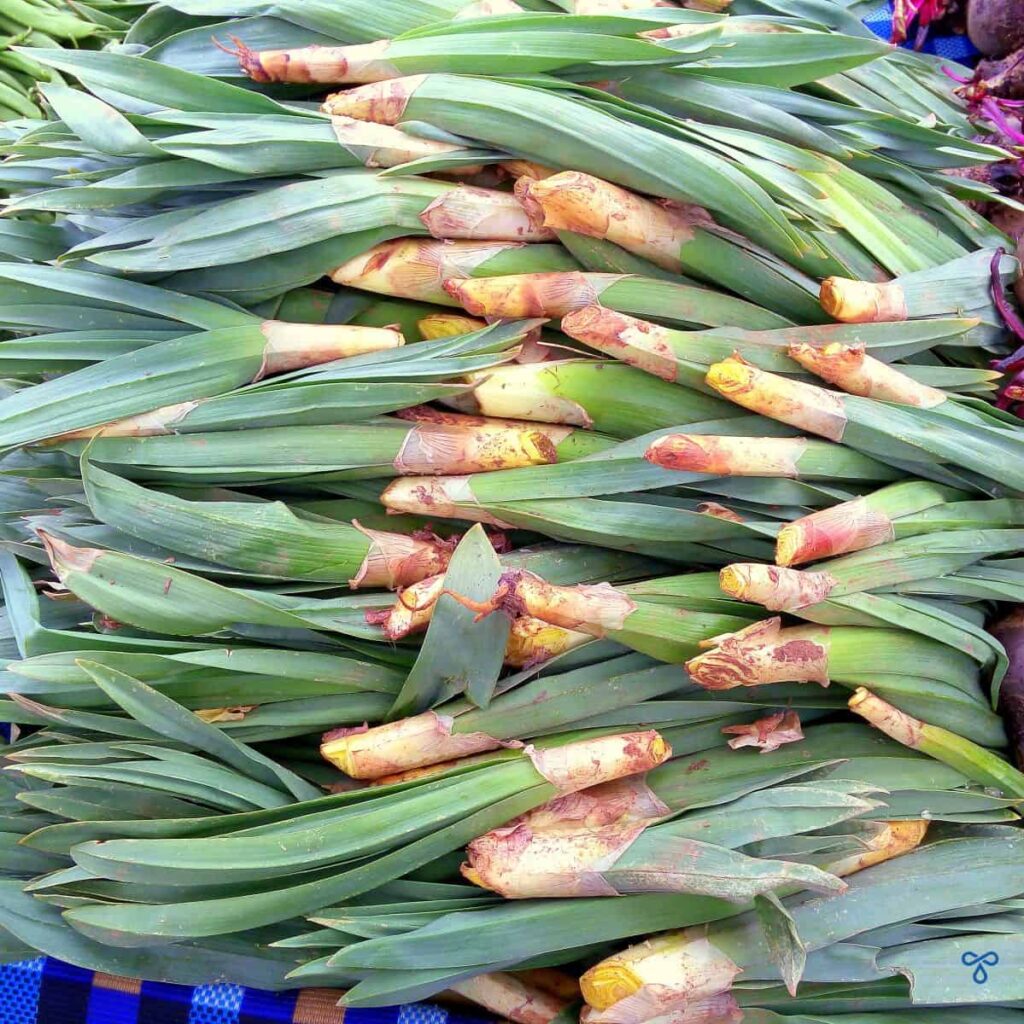 Edible Wild Plants - Çiriş Otu • Turkey's For Life