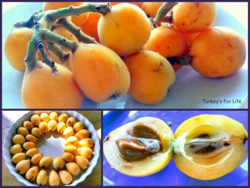 Loquat Recipe - Turkish 'Yeni Dünya' Kebab • Turkey's For Life