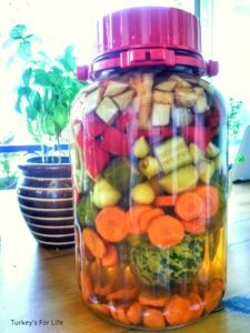 Turkish Pickles Recipe (Turşu) • Turkey's For Life
