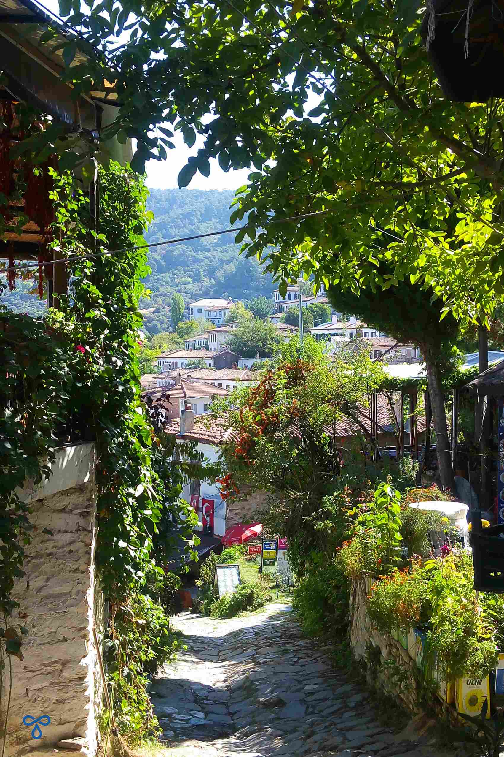 Şirince Village, Turkey - A Complete Guide • Turkey's For Life