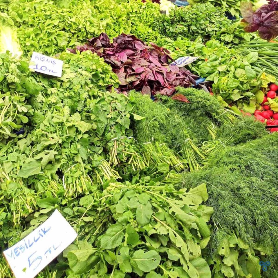 Turkish Markets - The Best Grocery Shopping Experience