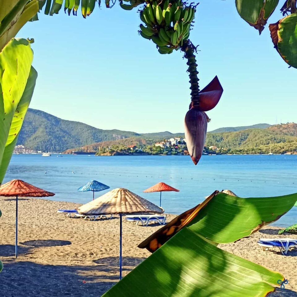 Calis Beach (Çalış Plaj) Fethiye, Turkey - The Ultimate Guide