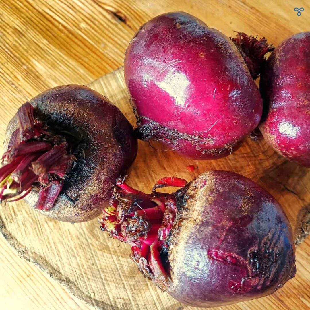Homemade Pickled Beetroot Recipe (Turkish Pancar Turşusu)